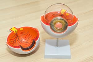 Eye Care Brownstown | LASIK Surgery Detroit | Rahmani Eye